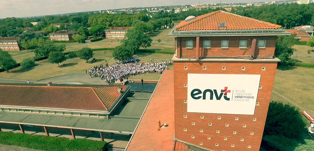 Tout savoir sur l’École Nationale Vétérinaire de Toulouse (ENVT)
